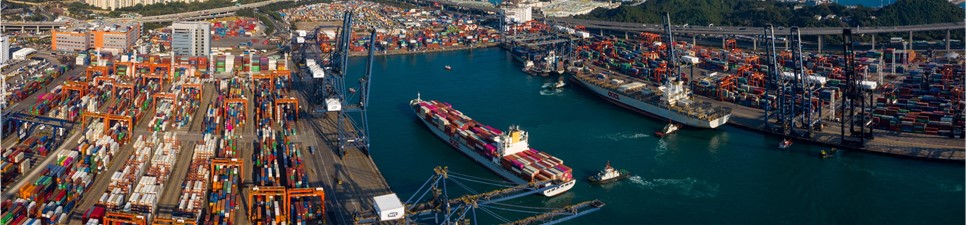 TradeLane Blog | Queena Lau - Director, Strategic Accounts Tradewin