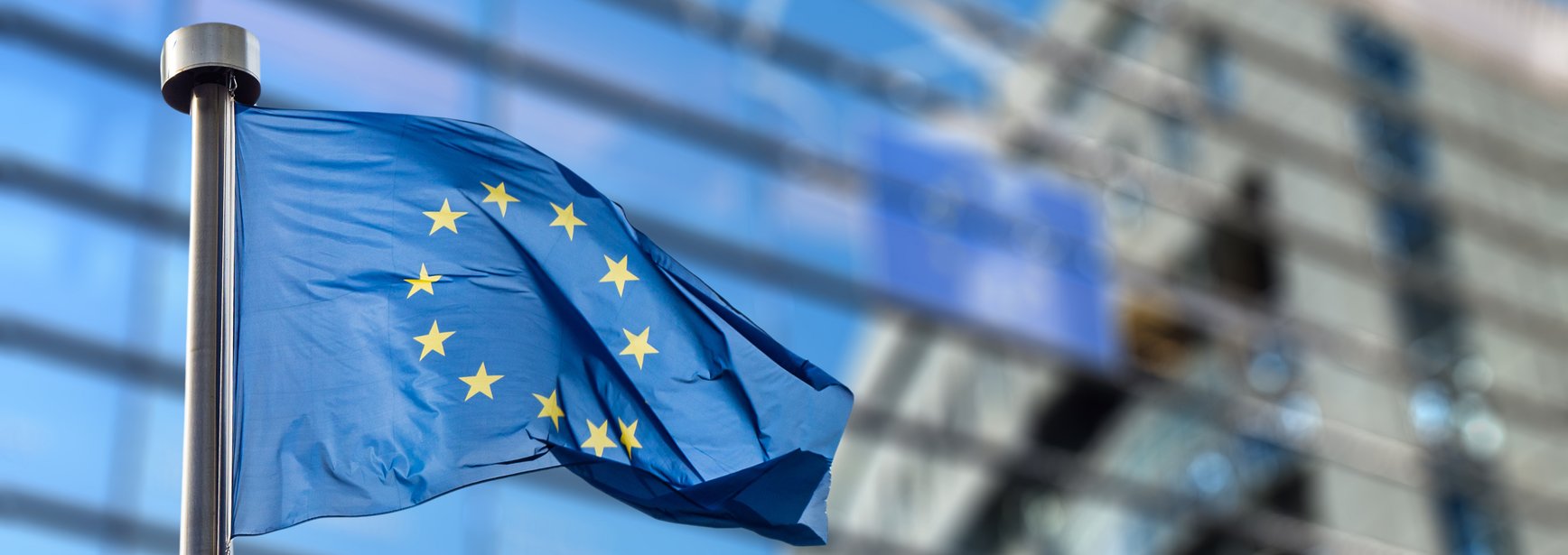 Top Four Mistakes With End-Use Statement in the EU